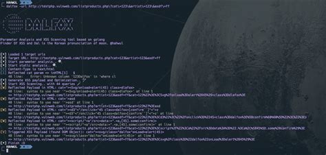 Dalfox Parameter Analysis And Xss Scanning Tool