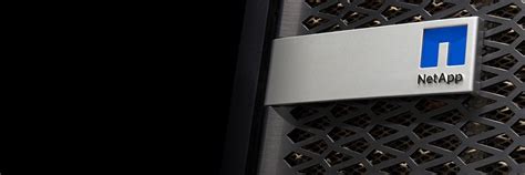 What Is Netapp Definition From Techtarget