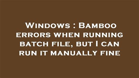 Windows Bamboo Errors When Running Batch File But I Can Run It