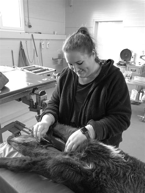 Natalie Schenk Tierarztpraxis Im Moos Ag