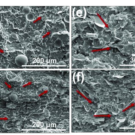 The Microstructure Of Pc Based Composites Along The Flow Direction A Download Scientific