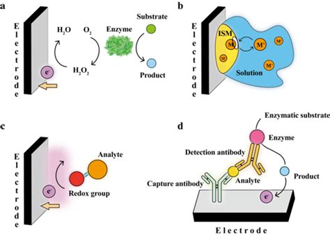 Scheme 3 Schematic Illustration Of Different Types Of Electrochemical