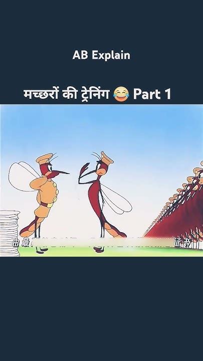 Animation Cartoon Cartoonbo Funny Youtube