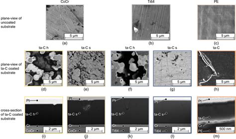 Plane‐view Sem Micrographs Of The A C Uncoated Substrate Surfaces Download Scientific Diagram