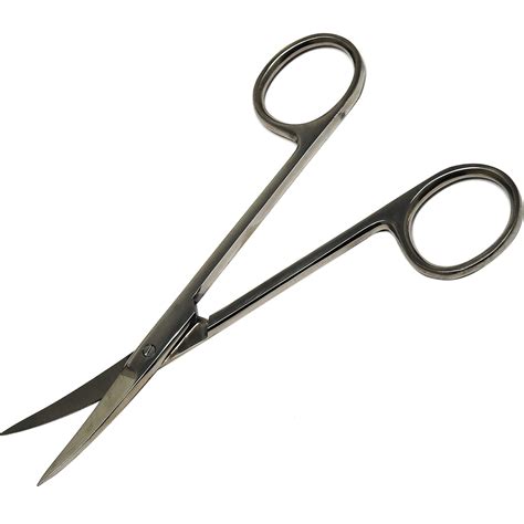 Curved Scissors Dental At Marisela Warren Blog