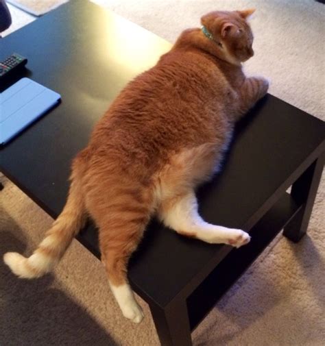 Lazy Days With Banana Everyday Accounts Lazy Days With Banana Everyday Accounts