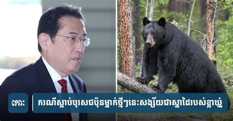 ជប៉ុន សង្ស័យ ថា បុរស ម្នាក់ ស្លា ប់ នៅ តំបន់ ព្រៃ ភ្នំ អាច ជា ស្នា ដៃ របស់ ខ្លា ឃ្មុំ Koh