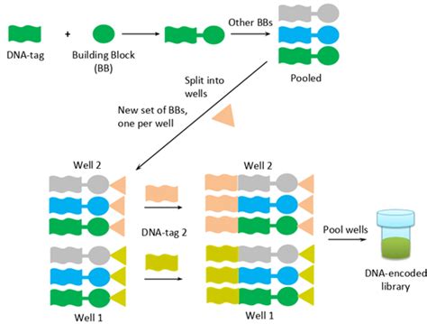 Ai Takes On Dna Encoded Chemical Libraries Enamine