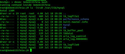 Mysql Cannot Run Docker Container With Non Root User For Mariadb Image Stack Overflow