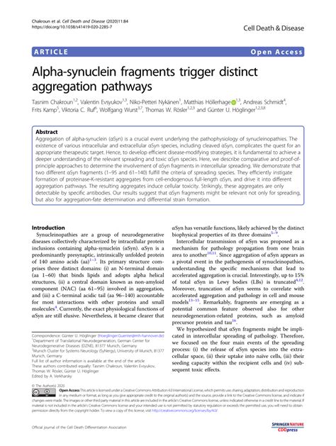 Pdf Alpha Synuclein Fragments Trigger Distinct Aggregation Pathways