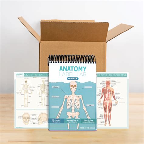 Anatomy Label Lab Kit™ Nurseinthemaking