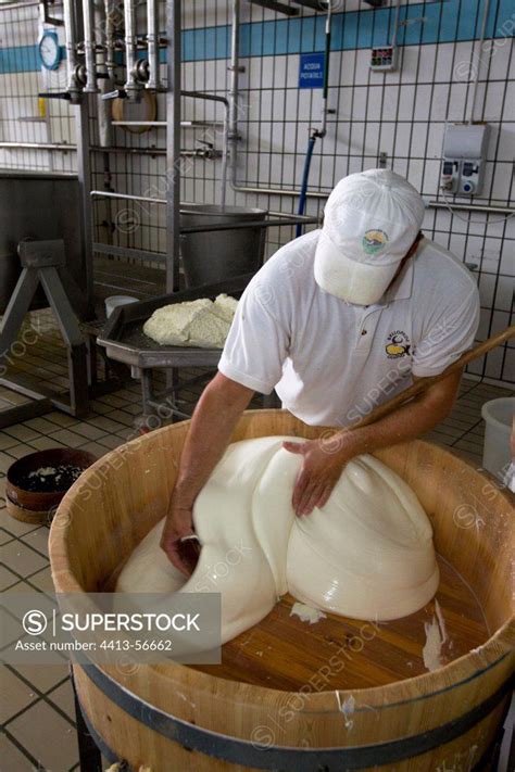 worker stirring pulp mozzarella in a barrel superstock