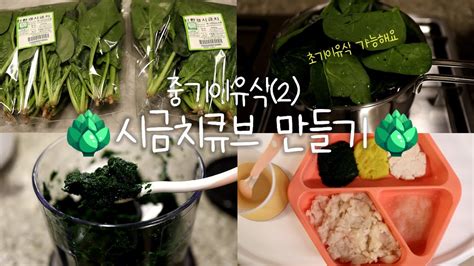 육아일기｜7개월｜중기이유식｜토핑이유식｜냄비이유식｜시금치큐브 만들기💚초기이유식 가능🙂 Youtube