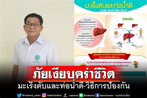 ข่าว Like สาระ เผยมะเร็งตับและท่อน้ำดี ภัยเงียบที่คร่าชีวิตคนไทยสูงอันดับ 1 หมอเผยวิธีการป้องกัน