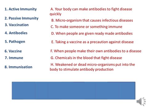 Vaccination Flow Chart By Cathb1975 Teaching Resources Tes