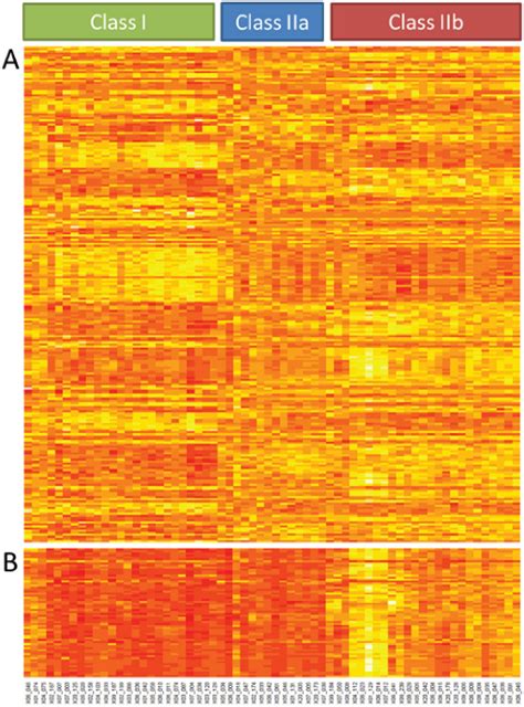 Gene Expression Analysis Unsupervised Clustering Of Gene Expression Of