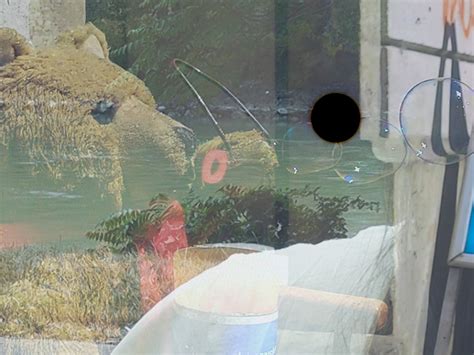 Floating Flies Filmfreeway