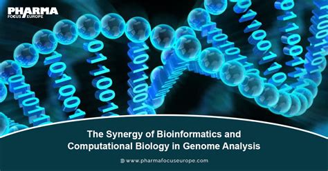 the synergy of bioinformatics and computational biology in genome analysis