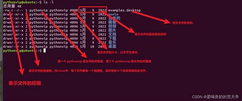 【linux终端探险】：从入门到熟练，玩转基础命令的秘密（一） 阿里云开发者社区