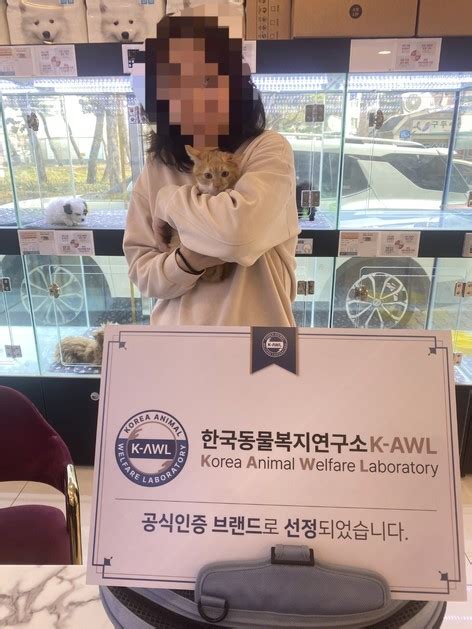 코리안숏헤어 지삼이 래브라도리트리버입양 닥스훈트입양 도베르만입양 말티치입양 말티폼입양 빠삐용입양 사모예드입양 스피츠입양 시바견입양 시베리안허스키입양 시츄입양 요크셔테리어입양