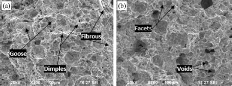 Scanning Electron Microscope Micrographs Of Fracture Surface Of Download Scientific Diagram