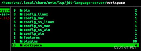 Neovim内置lsp实现java语言补全nvim Lspconfig Jdtls Csdn博客
