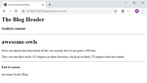Exploring Blogging With Scully The Angular Static Site Generator Owlypixel Blog