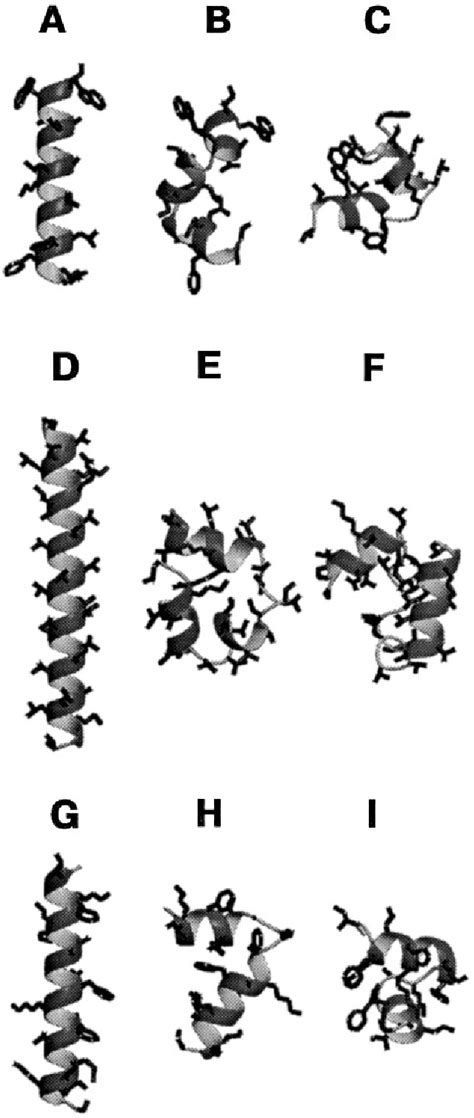 Figure 2 From A Solvent Model For Simulations Of Peptides In Bilayers Ii Membrane Spanning α