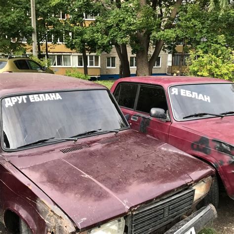 Отдел по борьбе с усатыми тёлками 2024 ВКонтакте