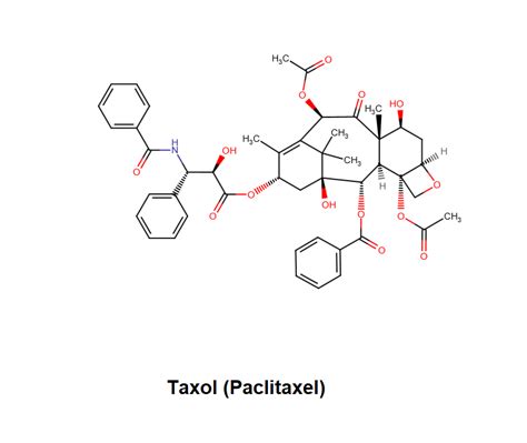 Paclitaxel Taxol Fermentek
