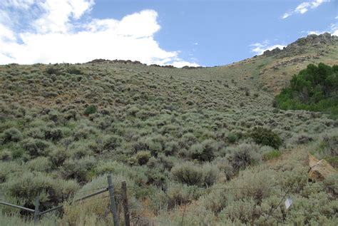 Water Canyon Recreation Area Winnemucca District Flickr