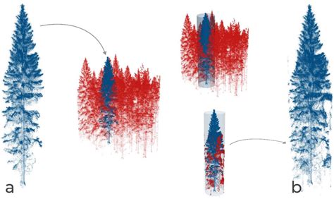 a new article on wood quality estimation from dense airborne lidar