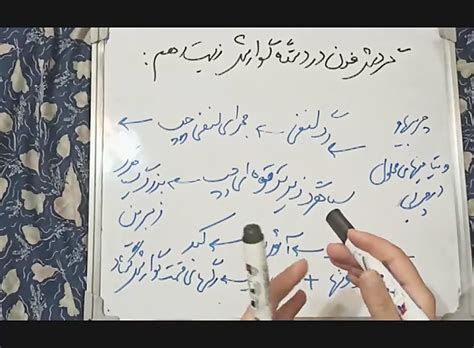 ادامه گردش خون در دستگاه گوارش زیست دهم