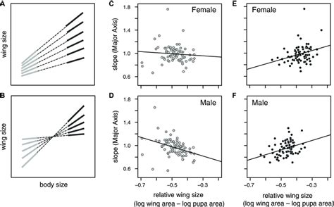 Inferring The Pattern Of The Individual Scaling Relationships A For Download Scientific