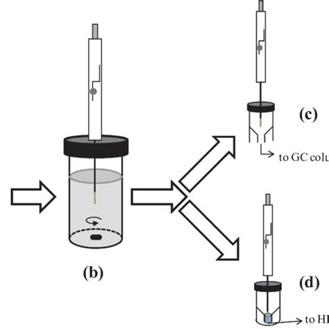 Representation Of The Solid Phase Microextraction Methodology