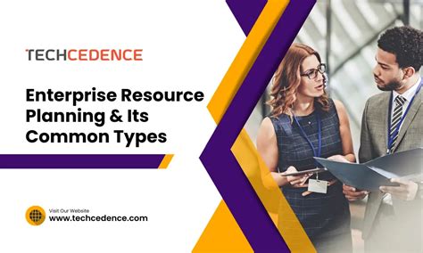 Understanding ERP Common Types Techcedence