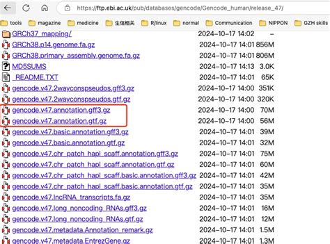 Chip Seq上游分析流程学习二chipseq分析代码 Csdn博客