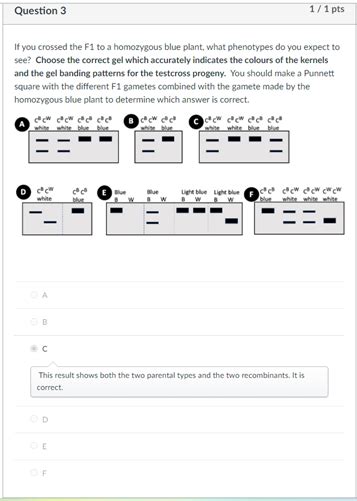 Solved From The Question Above Look At The Gametes Produced Chegg Com