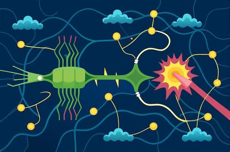 This Illustration Depicts The Transmission Of Nerve Impulses Through A