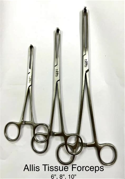 Allis Tissue Forcep At ₹ 560 Piece Tissue Forceps In Jalandhar Id 2856509872755