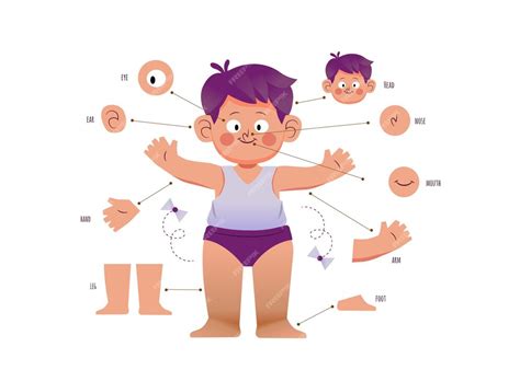 귀여운 어린 소년이 보여주는 인체 부위의 인포그래픽 만화 프리미엄 벡터