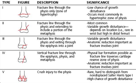 Pediatrics Musculoskeletal Key