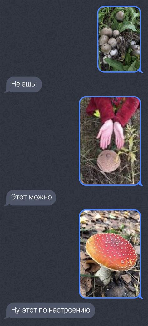 17 фееричных переписок доказывающих что в общении с близкими всегда нужно быть начеку Adme