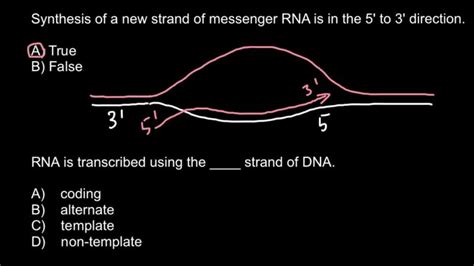 Nikolays Genetics Lessons On Linkedin Nikolays Genetics Lessons