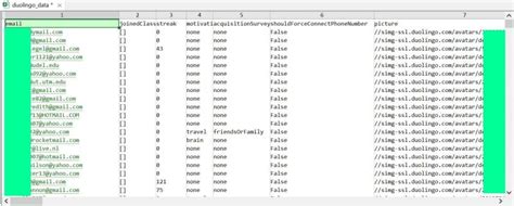 API Misuse Hacker Leaks 2 6M Duolingo Users Emails Names