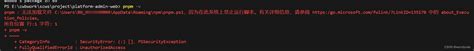 vscode 中显示 pnpm 无法加载文件 c users appdata roaming npm pnpm ps1，因为在此系统上