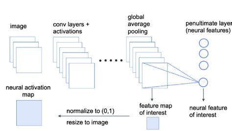 Figure Describing The Neural Activation Map Generation Procedure To Download Scientific