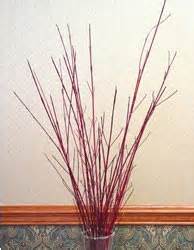 Ask Cynthia Tree Branch Centerpieces