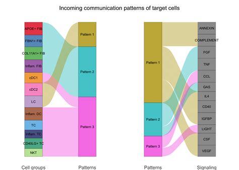 Cellchat V2 教程 1：使用 Cellchat 推理和分析细胞间通信 Csdn博客