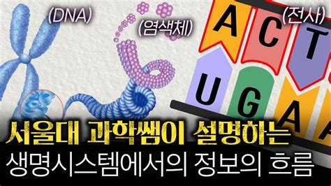 통합과학 변이와 자연선택에 의한 생물의 진화 Dna 구조 유전자 단백질의 모든 것 Youtube